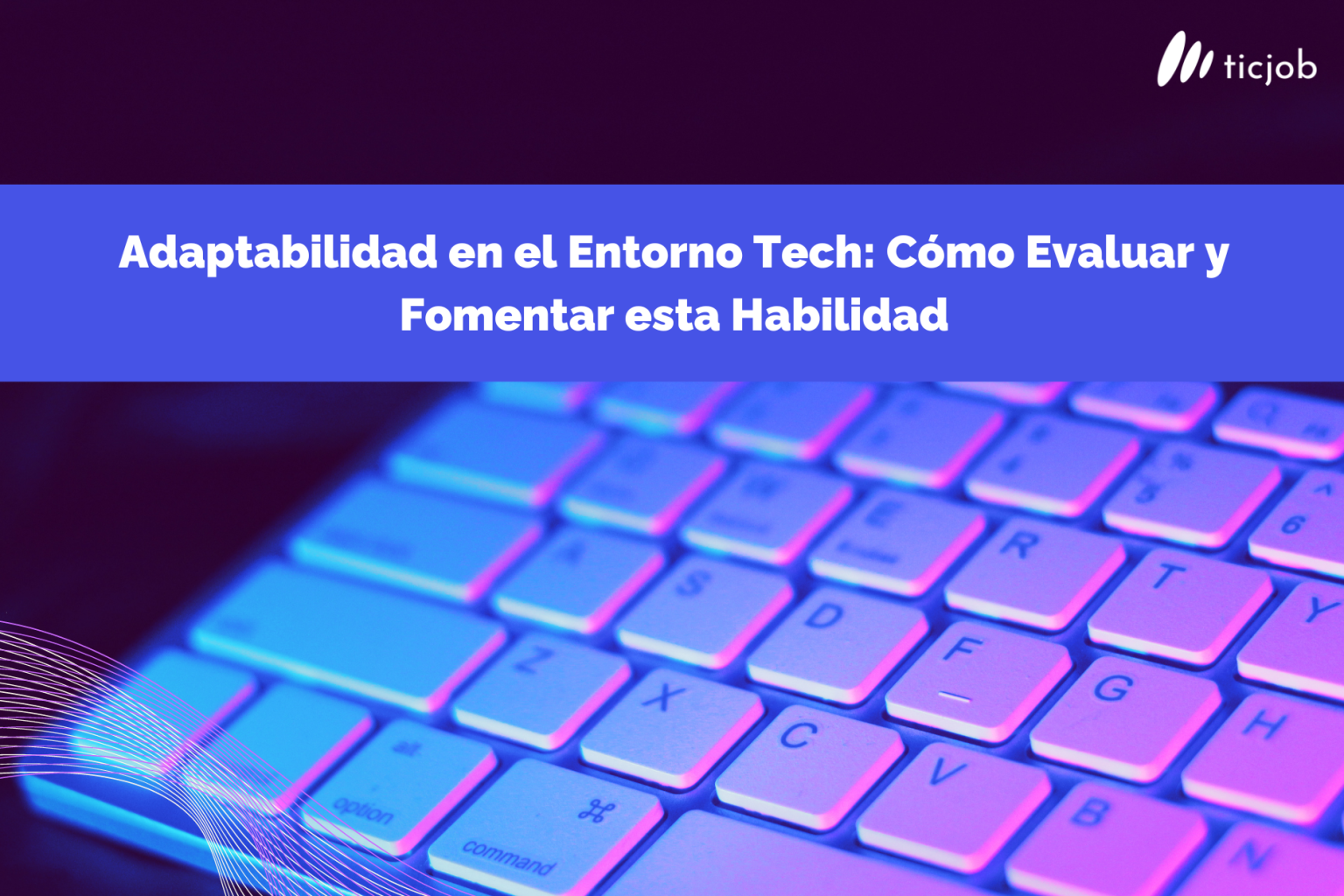Adaptabilidad en el Entorno Tech: Cómo Evaluar y Fomentar esta ...